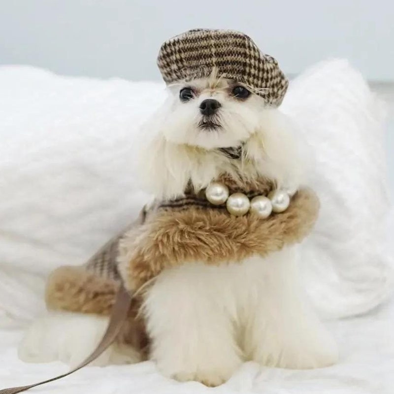 Designer Dog Clothes - Etsy