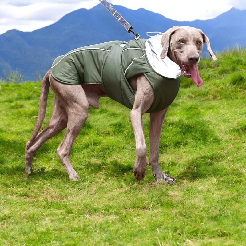 Dog Winter Coat, Waterproof Dog Jacket, Reflective Dog Coat, Warm Dog ...