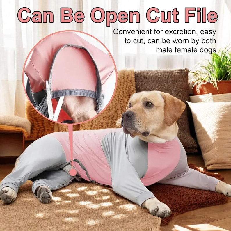 Dog Recovery Suit, Post Surgery Pet Onesie, Protective Dog Bodysuit ...
