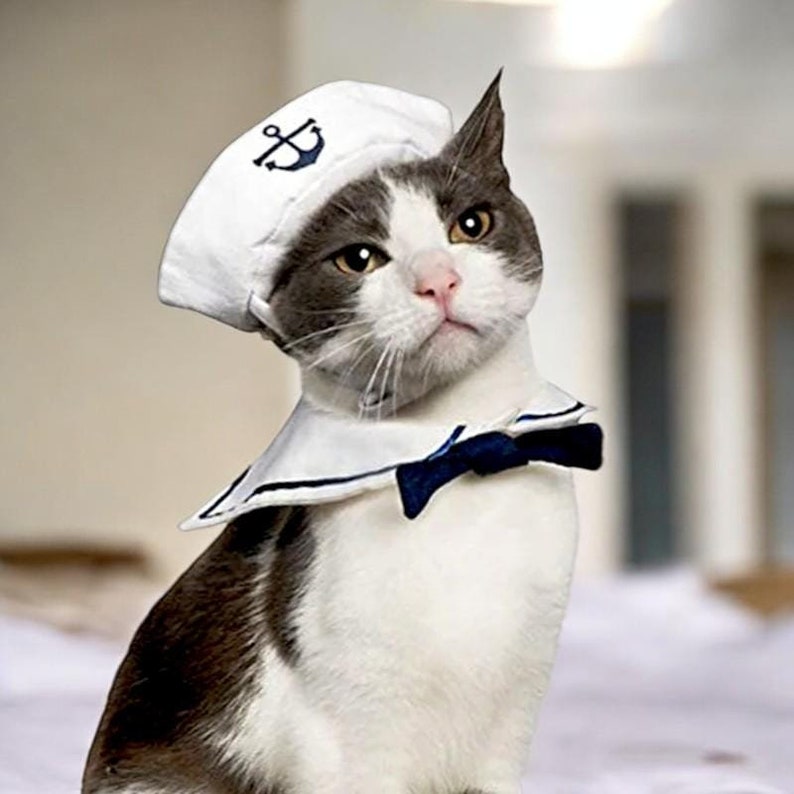 Pet Sailor Costume, Pet Sailor Outfit, Cat and Dog Captain Hat ...