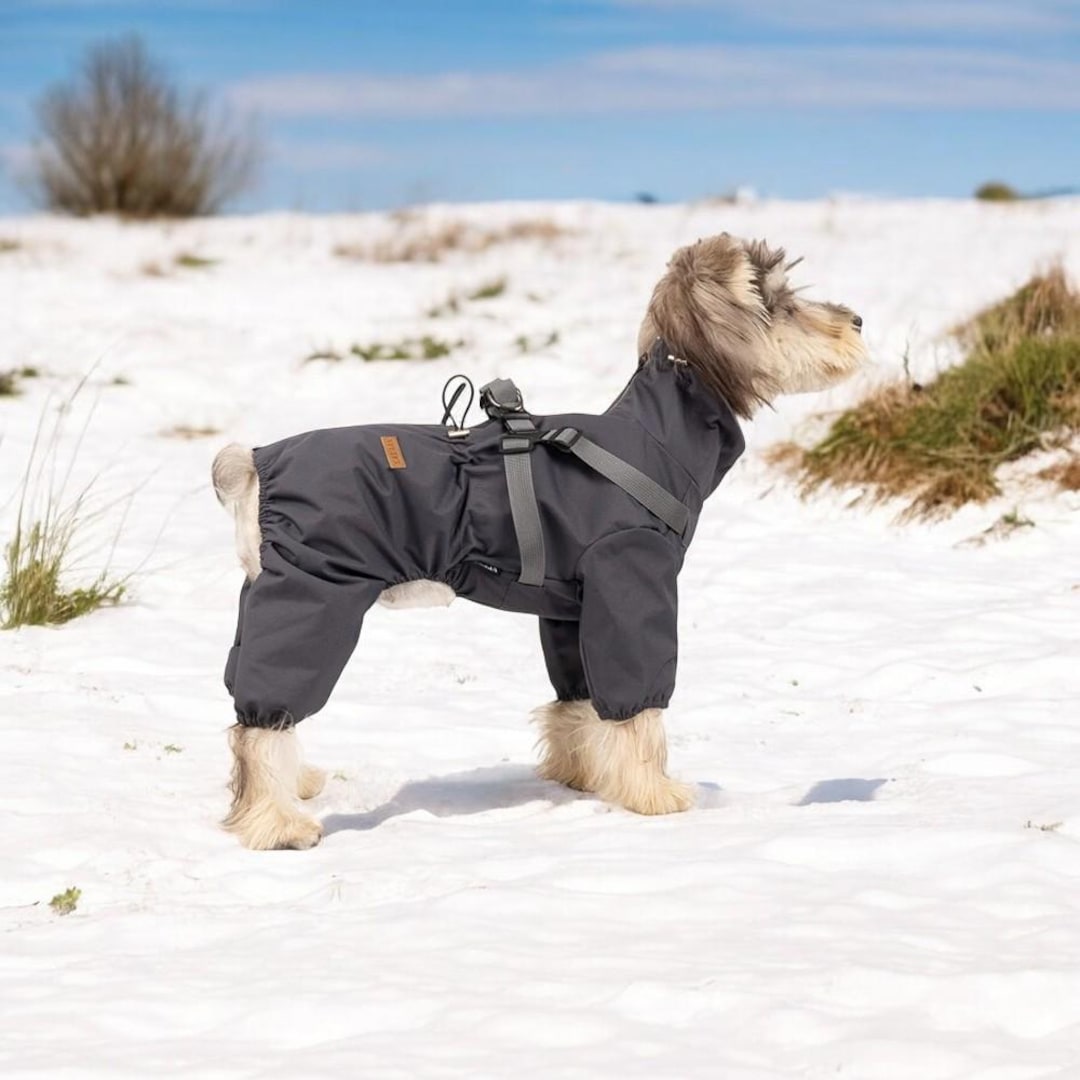 Dog Snowsuit | Waterproof Dog Winter Rain Coat | Warm Dog Jumpsuit ...