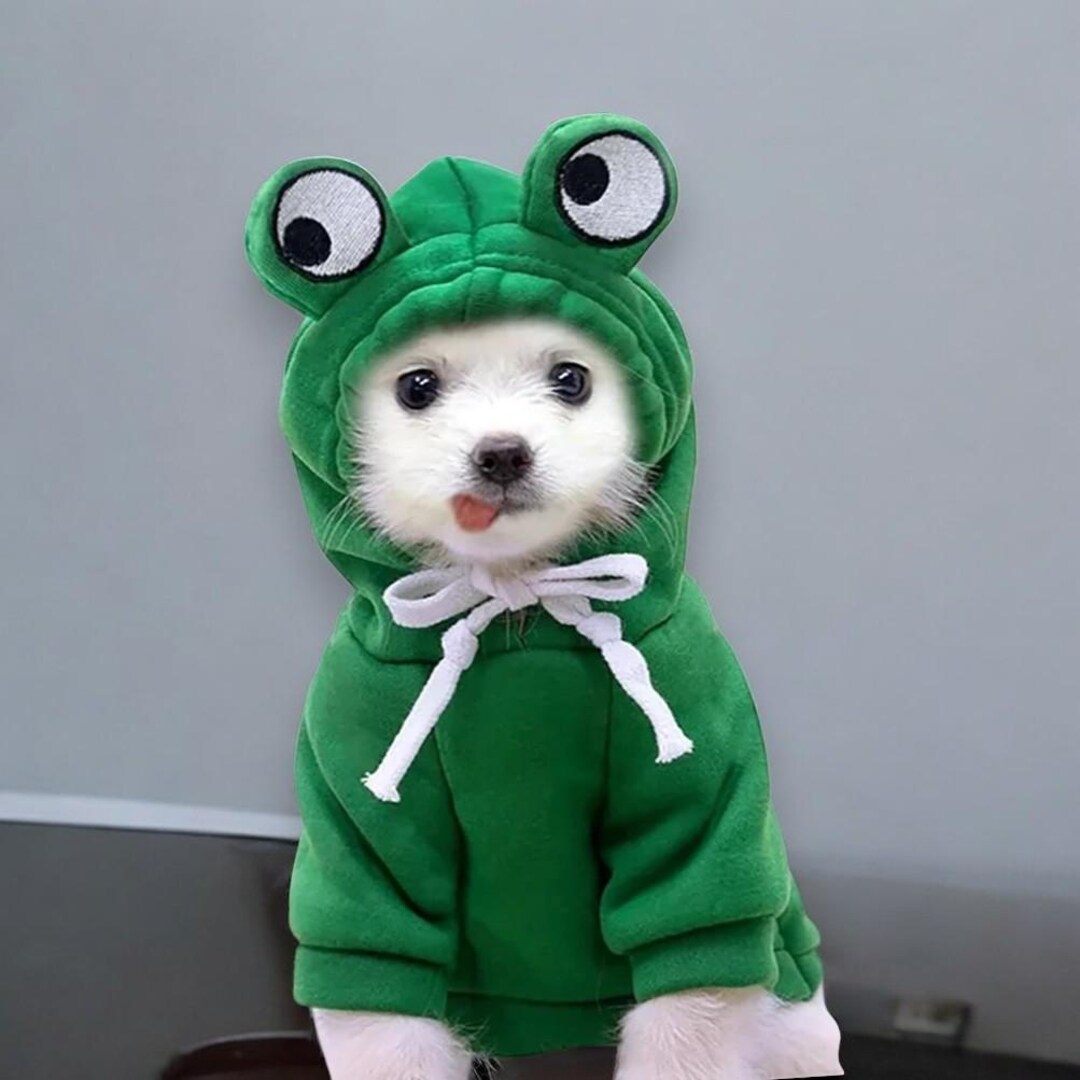 Dog Hoodie, Frog Hoodie, Pet Costume, Dog Clothes, Puppy Clothes, Small ...