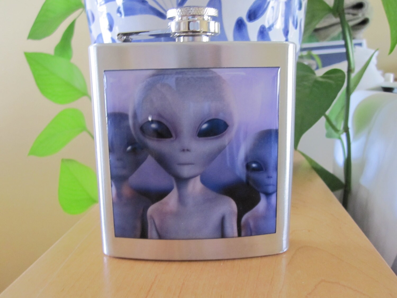 Alien UFO Liquor Hip Flask - Etsy