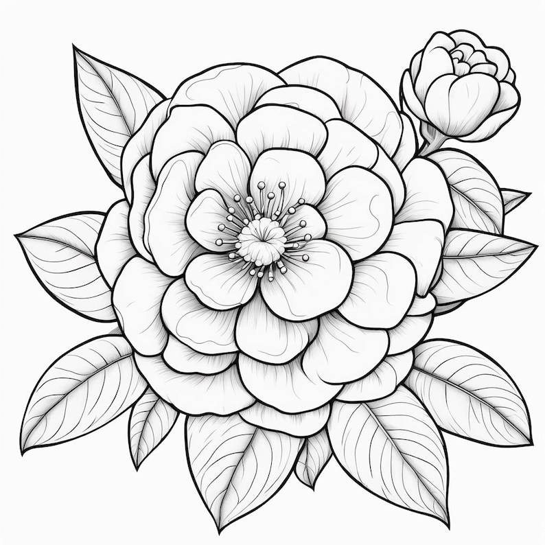 Flowers Coloring Page, Botanical Flowers Coloring, Floral Coloring ...