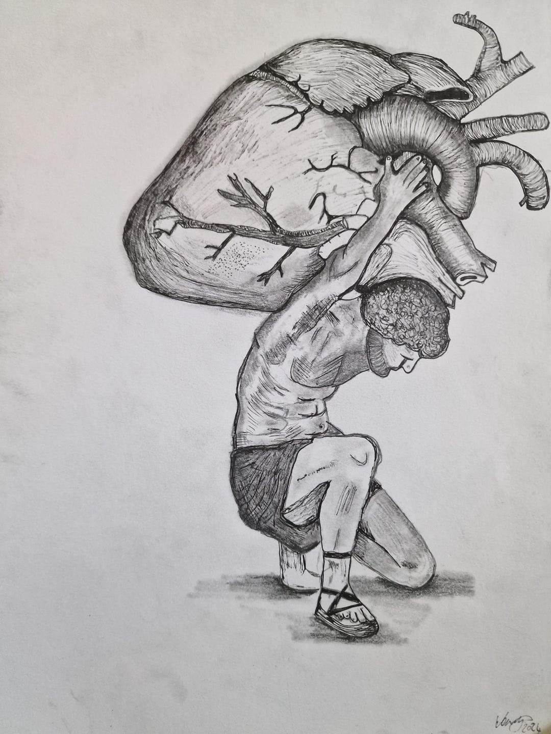 Anatomically Correct Heart Drawing Mounted With White Card and Not ...