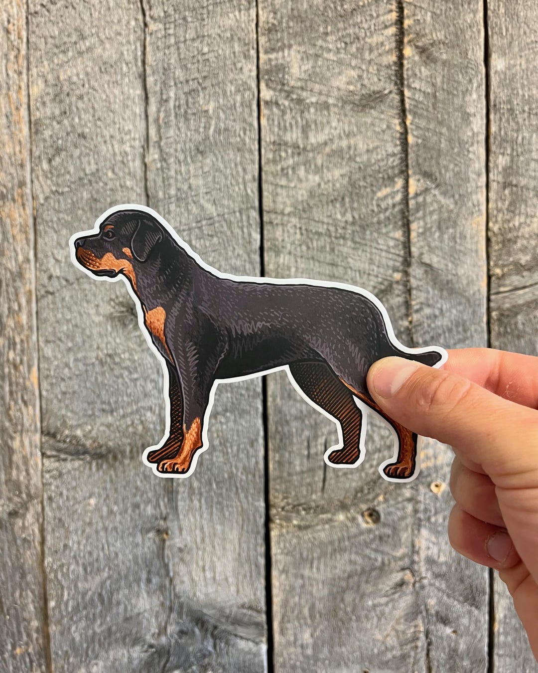 Rottweiler Decal - Etsy