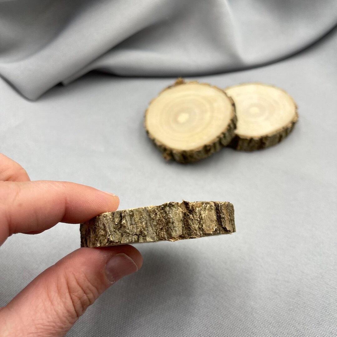 Pine Wood Slices for Crafts, Natural Unfinished Tree Rounds With Bark ...