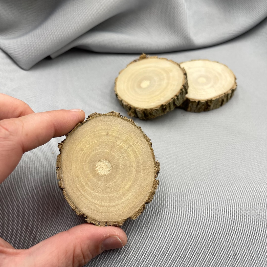 Natural Wood Round Slice for Crafts, Rustic Disc for DIY Projects ...