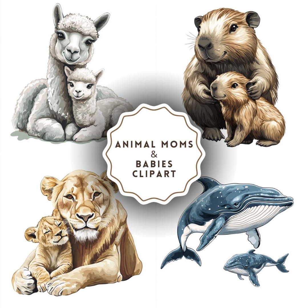 Animal Moms and Babies Clipart - 36 PNG Graphics (digital Download) - Etsy