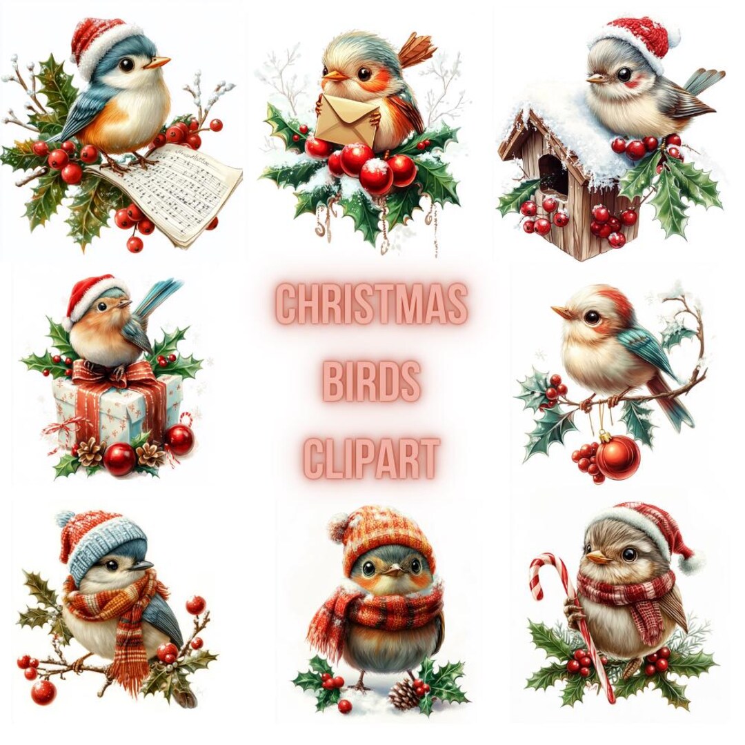 Christmas Bird Clipart: 53 PNG Illustrations (digital Download) - Etsy