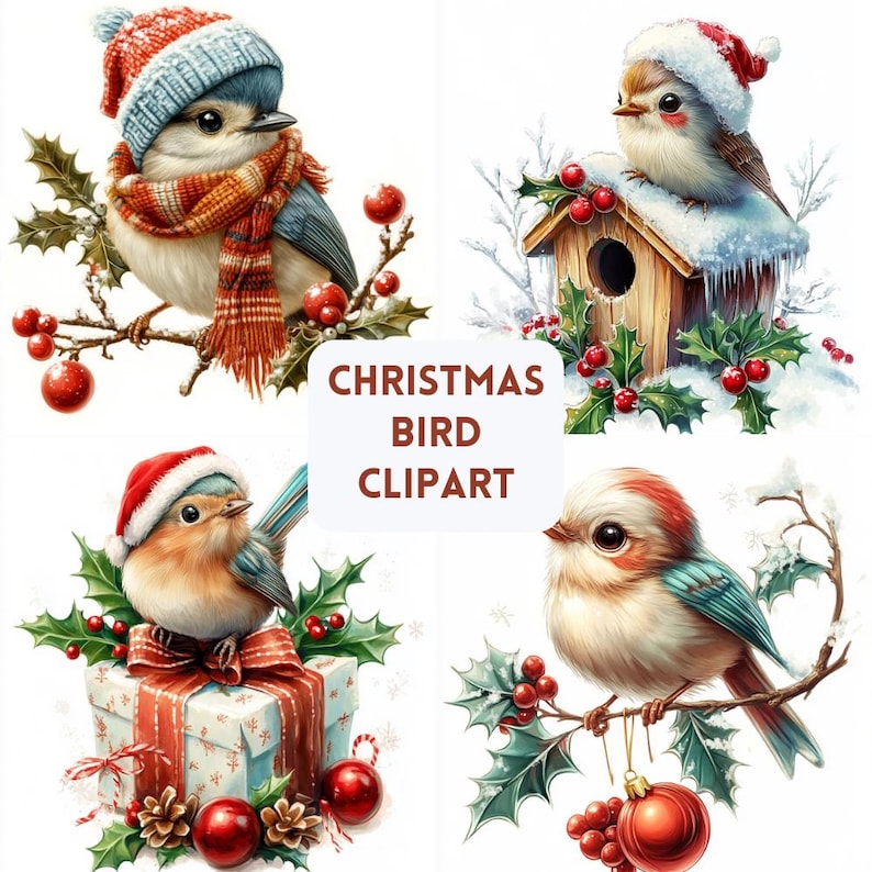 Christmas Bird Clipart: 53 PNG Illustrations (digital Download) - Etsy
