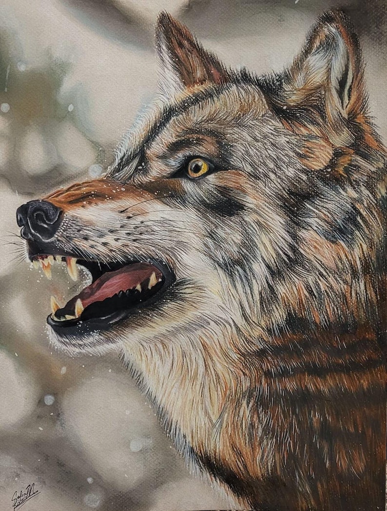 Wolf Print Wall Decor/wolf Art/timber Wolf Drawing/wolf Drawing/animal ...