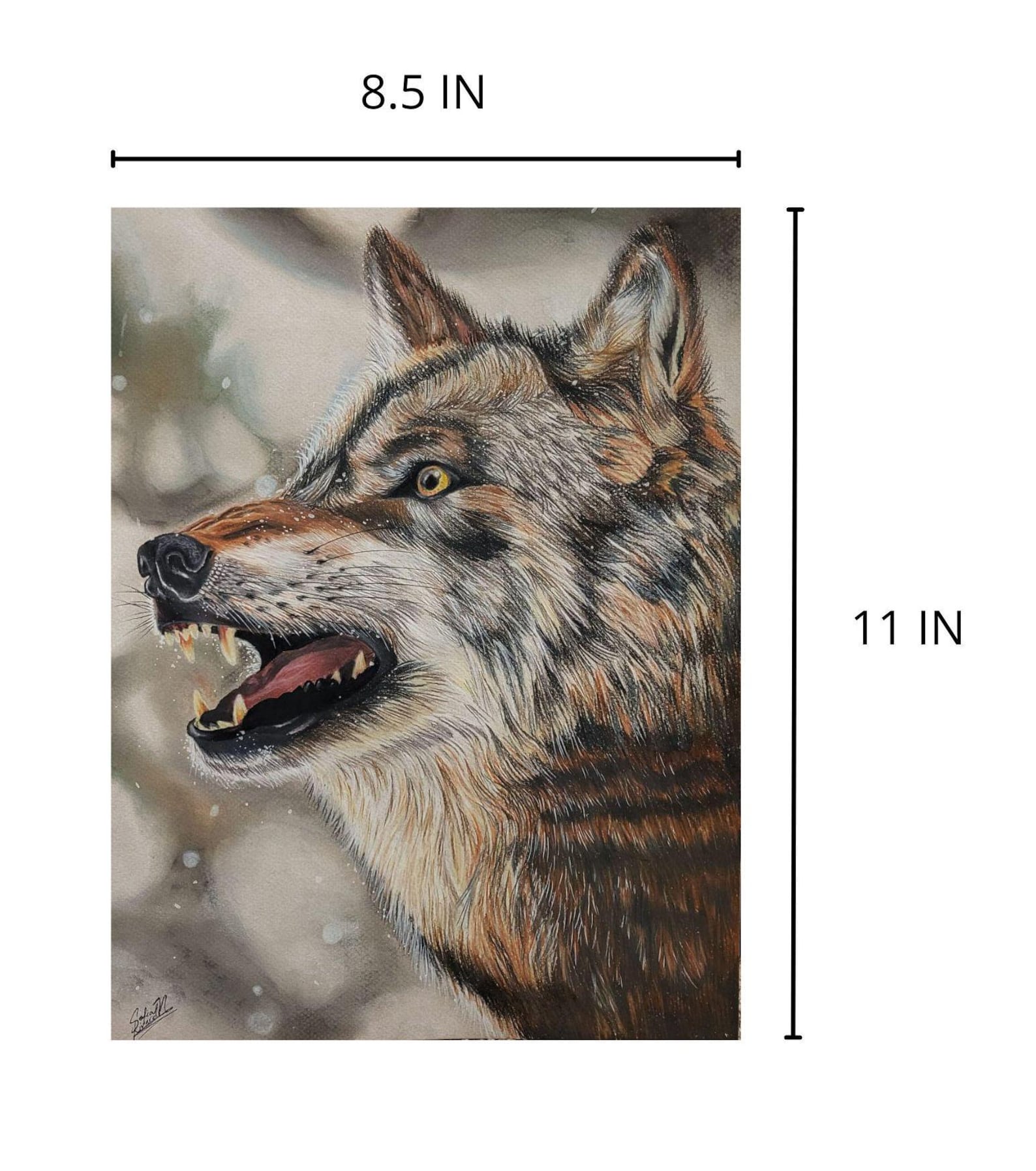 Wolf Print Wall Decor/wolf Art/timber Wolf Drawing/wolf Drawing/animal ...