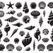 Shell Versions Digital Stencil | Print Shell Illustrations Stencils for ...