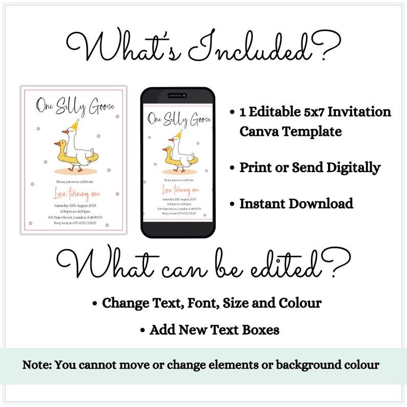 Editable First Birthday Invitation Template, Canva One Silly Goose ...