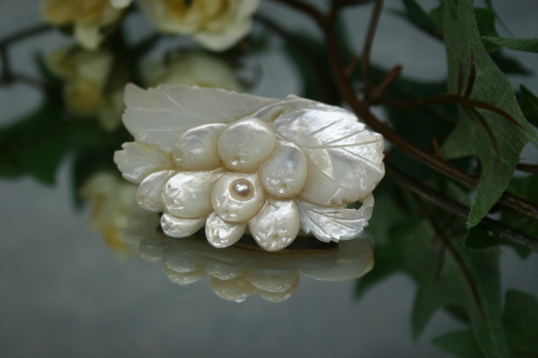 Carved Shell MOP Brooch - Vintage - Etsy