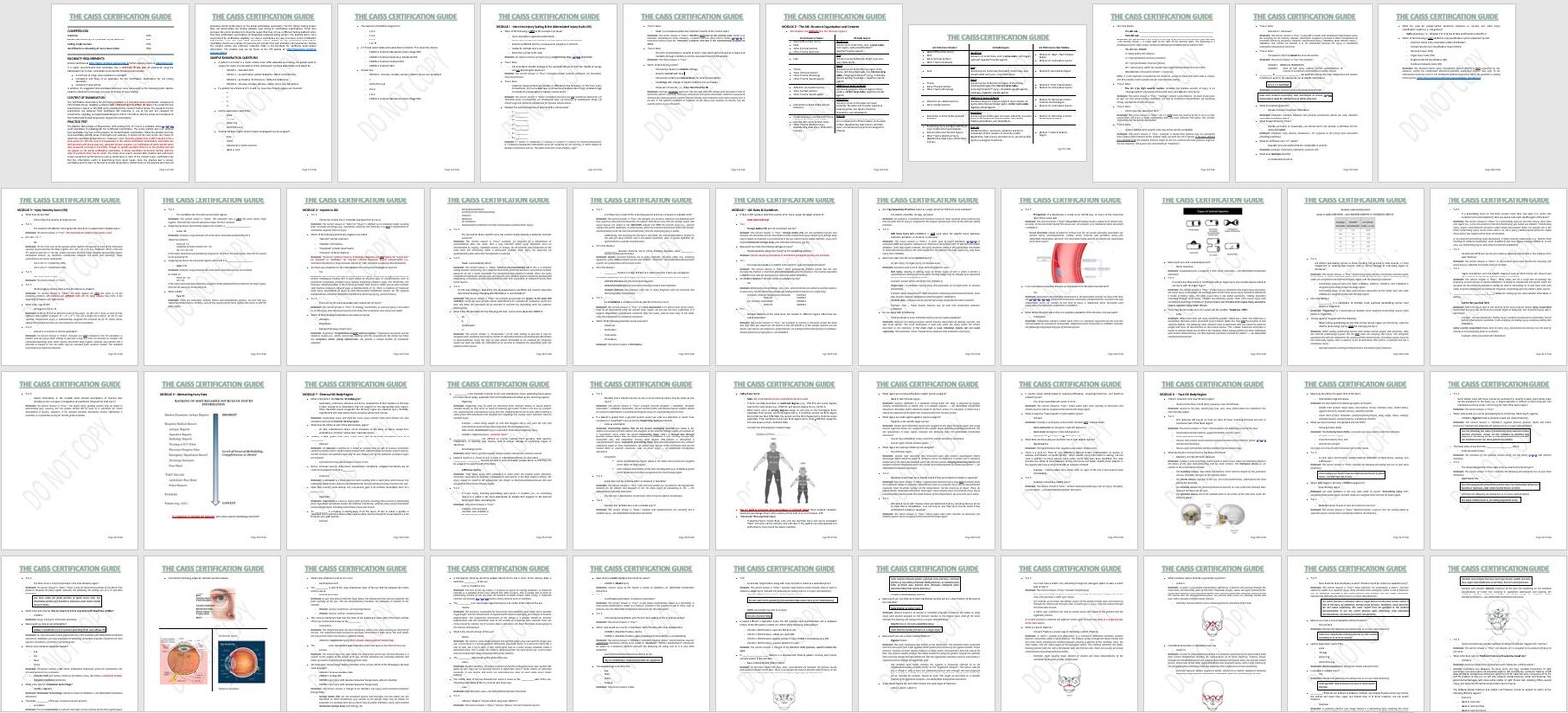 CAISS Certification Guide | Updated to AIS 2015 - Etsy