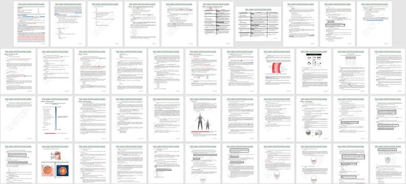 CAISS Certification Guide | Updated to AIS 2015 - Etsy