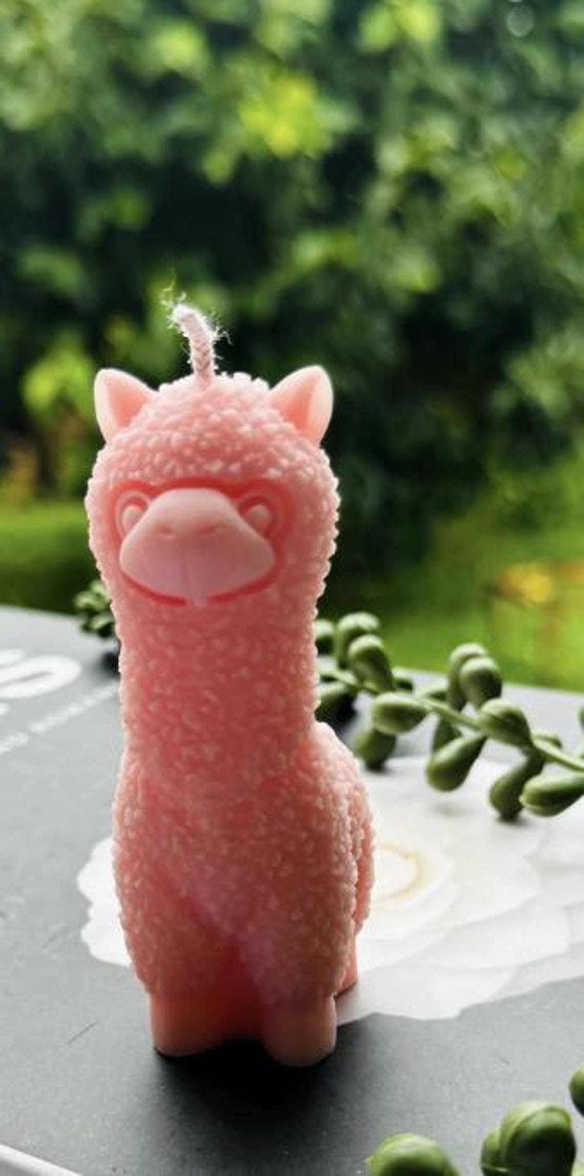 Alpaca/llama Candle | Alpaca Candle | Llama Candle | Fluffy Alpaca ...