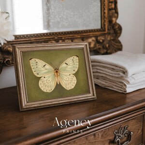 Cottagecore Butterfly Print: Vintage Moth Painting, Sage Green (digital ...