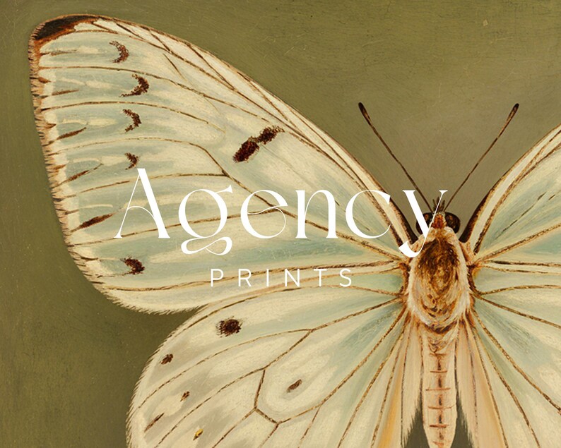 Cottagecore Butterfly Print: Vintage Moth Painting, Sage Green (digital ...