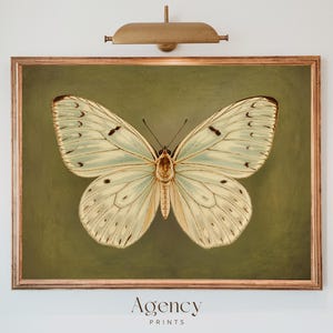 Cottagecore Butterfly Print: Vintage Moth Painting, Sage Green (digital ...