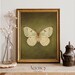 Cottagecore Butterfly Print: Vintage Moth Painting, Sage Green (digital ...