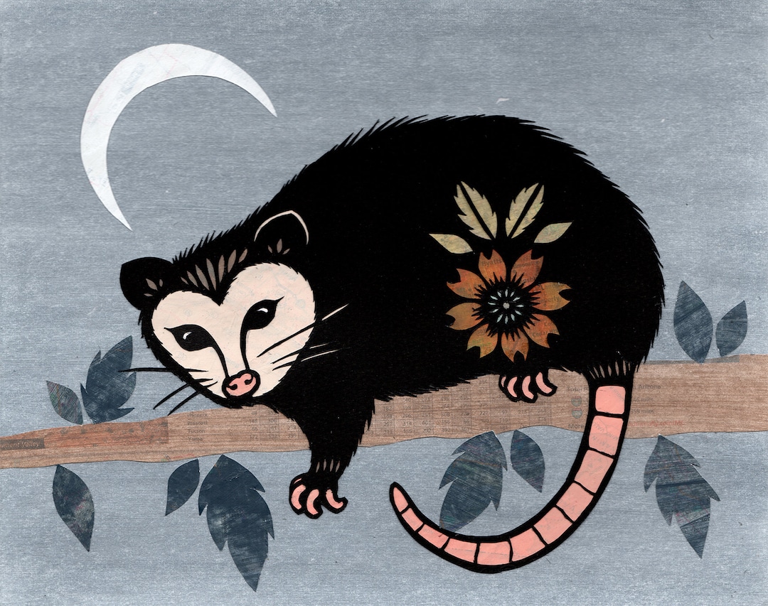 Goodnight Possum - 8 X 10 Inch Cut Paper Art Print - Etsy