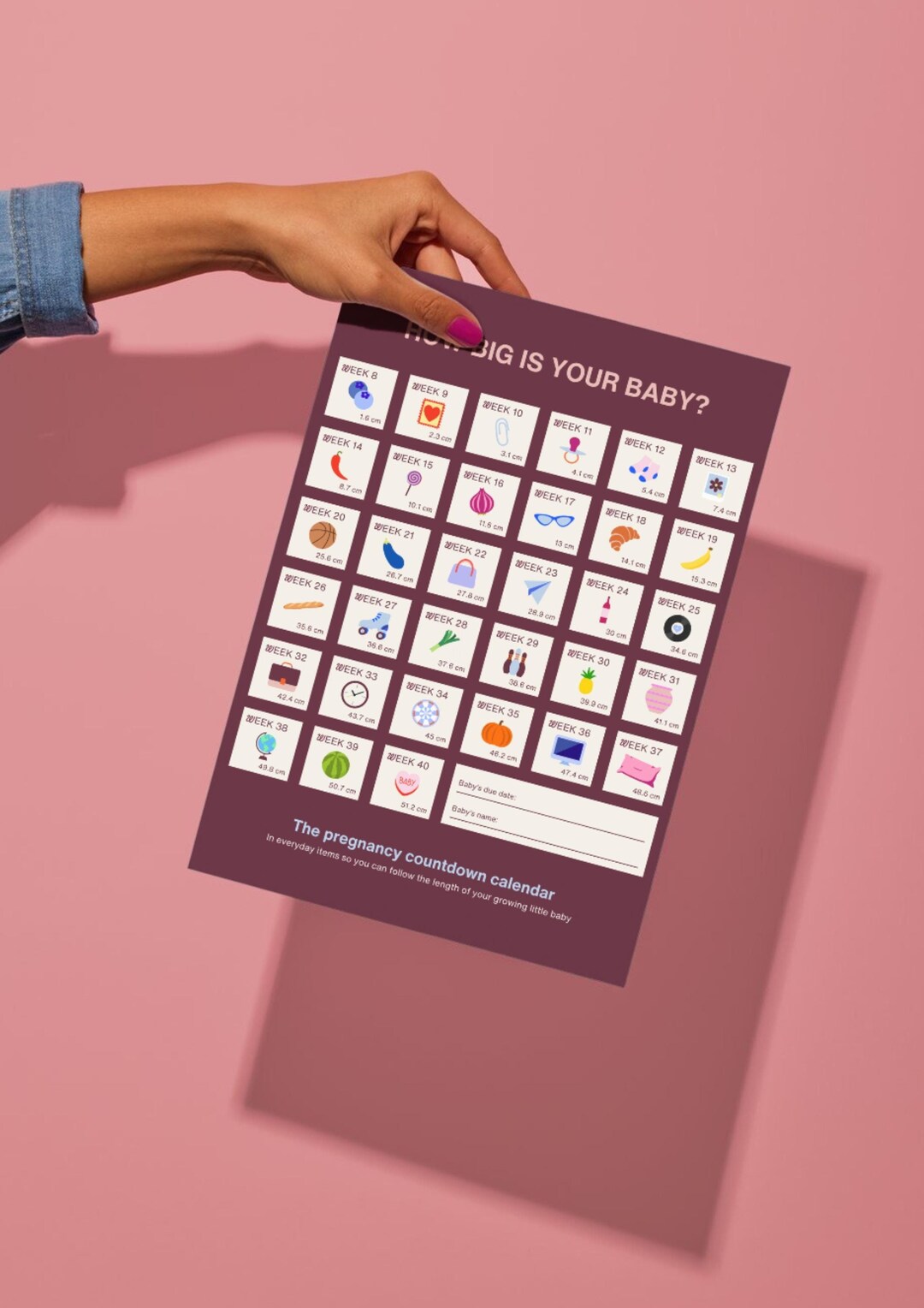 Baby Growth Countdown Calendar | From Bump to Baby | How Big is Your ...