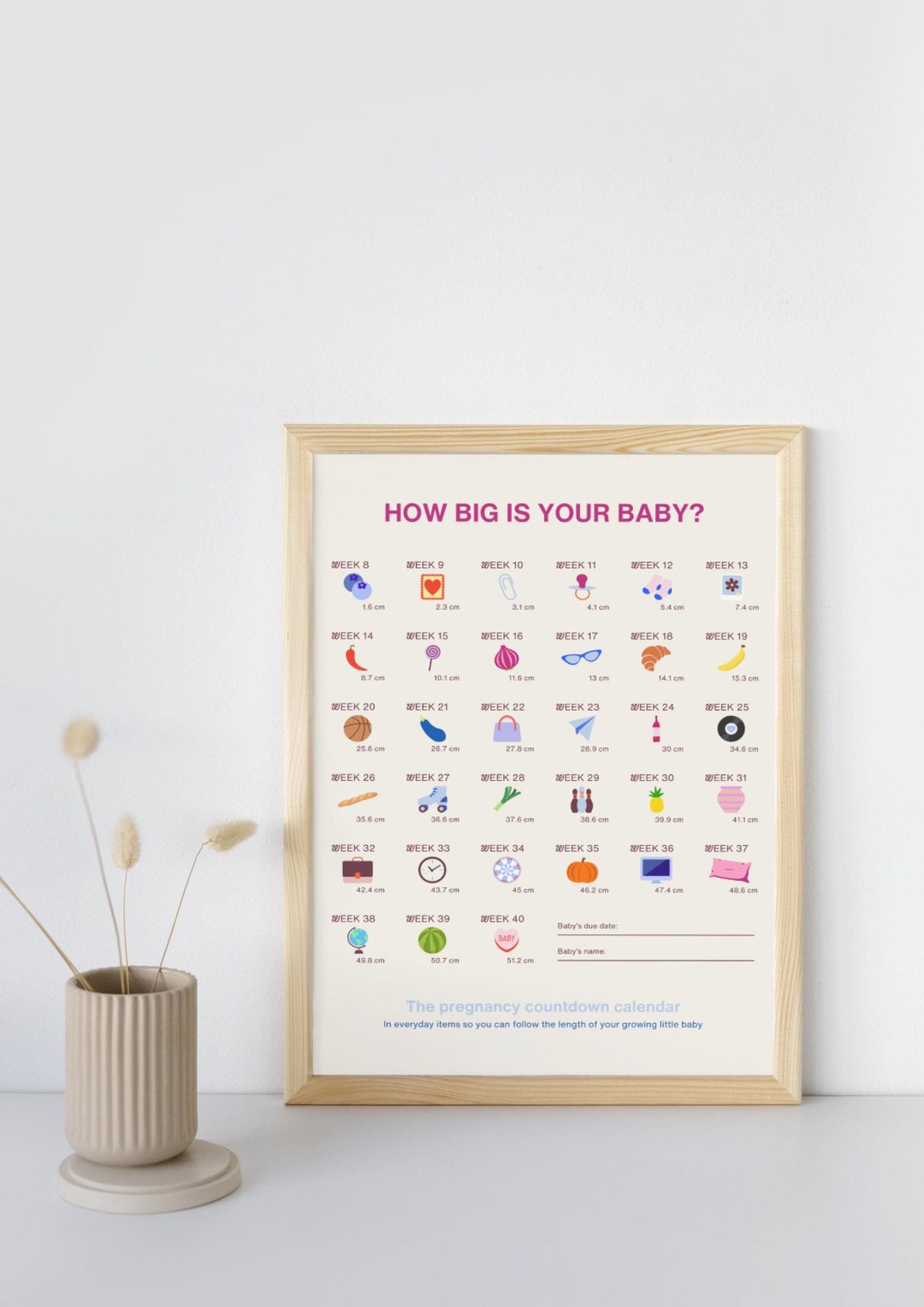 Baby Growth Countdown Calendar | From Bump to Baby | How Big is Your ...