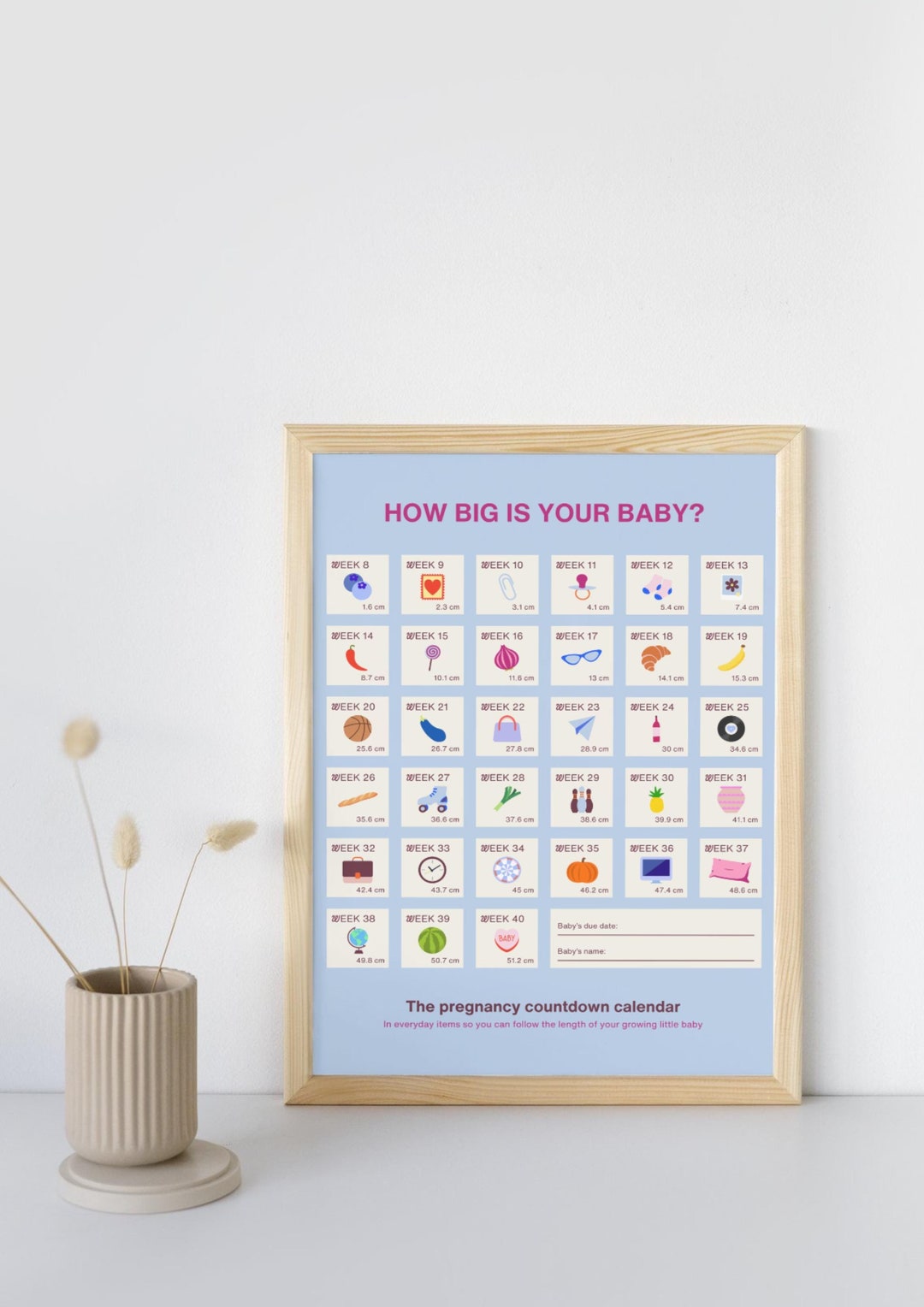 Baby Growth Countdown Calendar | From Bump to Baby | How Big is Your ...