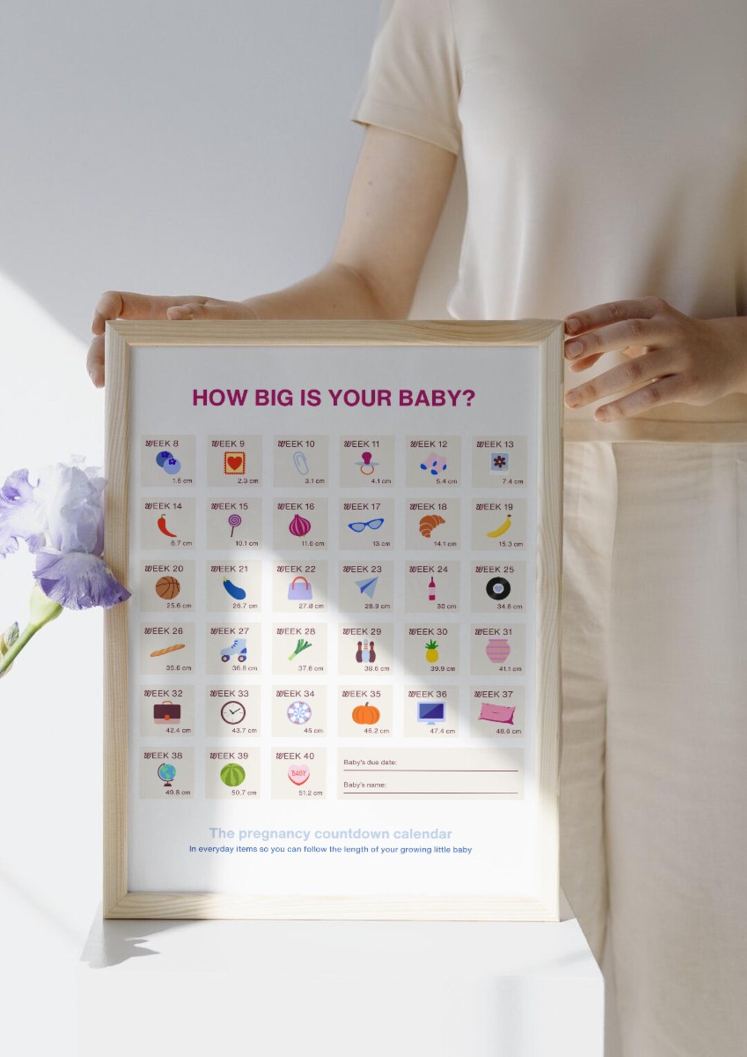 Baby Growth Countdown Calendar | From Bump to Baby | How Big is Your ...