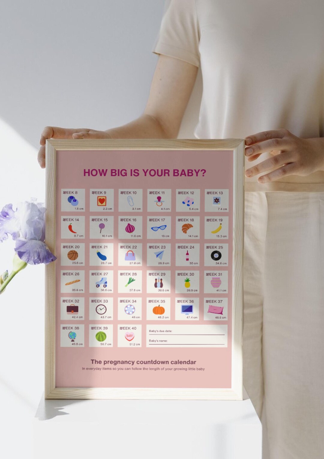 Baby Growth Countdown Calendar | From Bump to Baby | How Big is Your ...