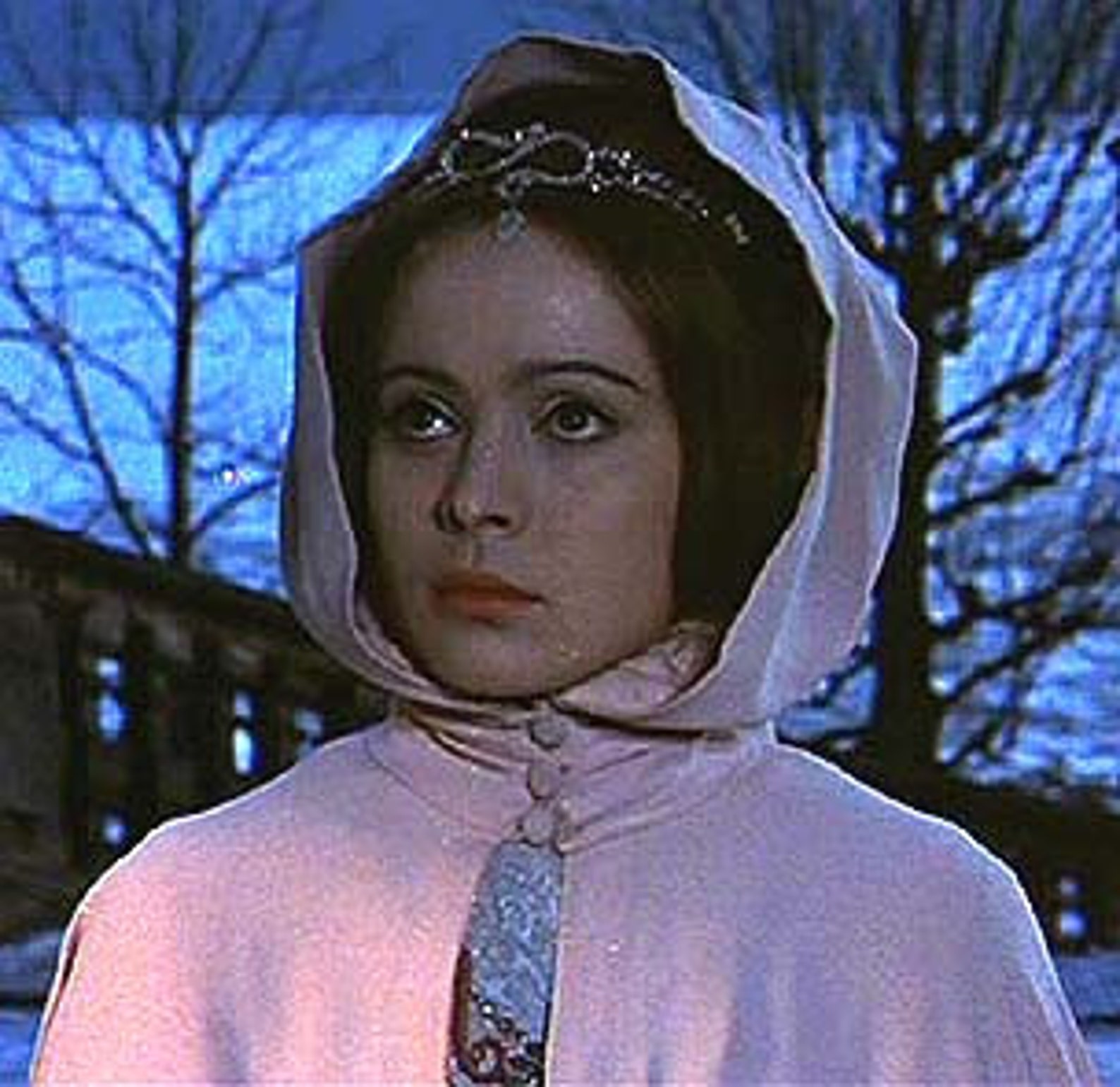 Cinderella Hooded Cape - Etsy