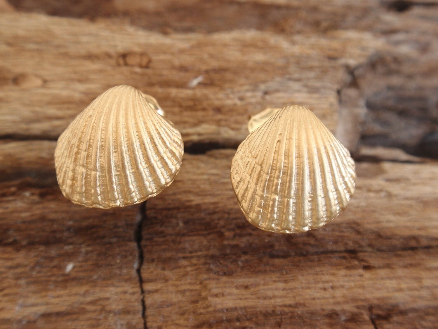 Sea Shell Jewelry Gold Stud Earrings Seashell Ocean Summer Beach ...