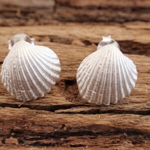 Seashell Stud Earrings Sea Shell Beach Ocean Jewelry Sterling Silver Studs Summer Earrings Studs ...