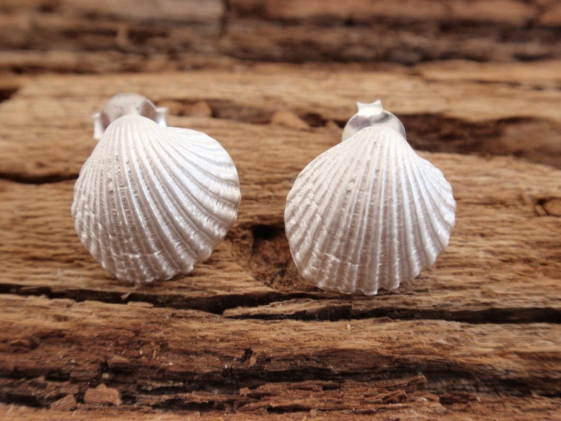 Seashell Stud Earrings Sea Shell Beach Ocean Jewelry Sterling | Etsy