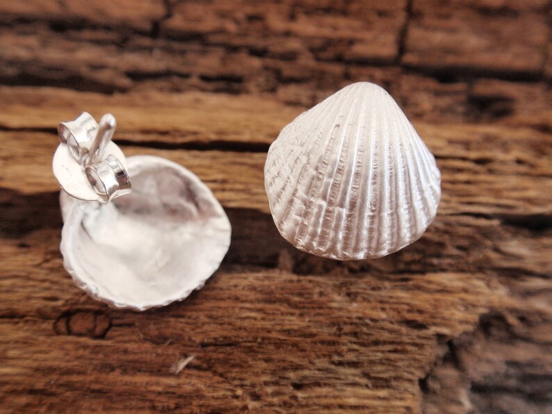 Seashell Stud Earrings Sea Shell Beach Ocean Jewelry Sterling | Etsy