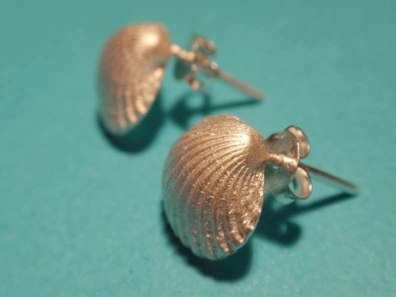 Seashell Stud Earrings Sea Shell Beach Ocean Jewelry Sterling | Etsy