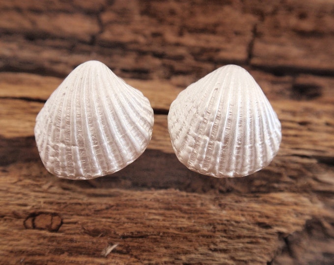 Seashell Stud Earrings Sea Shell Beach Ocean Jewelry Sterling - Etsy