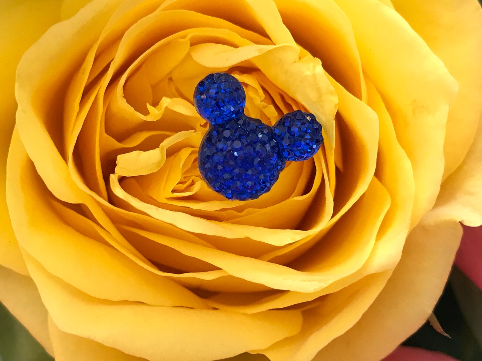 Disney Wedding-free SHIP-12 Hidden Mickeys Bouquets- Royal Blue Floral ...