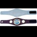 WBO World Boxing Organization Championship Boxing Belt ( 3D ) - Etsy