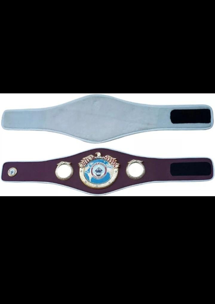 WBO World Boxing Organization Championship Boxing Belt ( 3D ) - Etsy