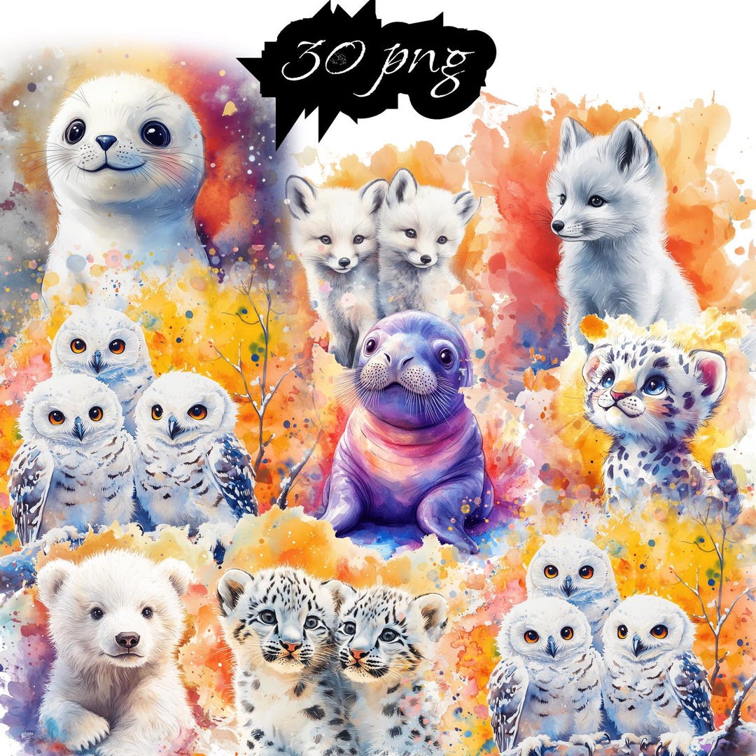 30 Watercolor Bundle. Polar Bears, Seals, Walruses, Snowy Owls, Arctic ...