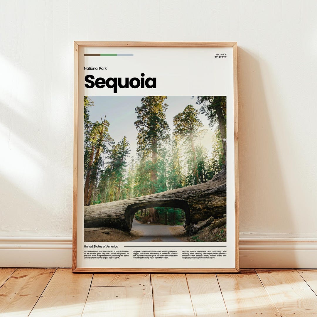Sequoia Poster, Sequoia Print, Sequoia Photo, National Park Poster ...