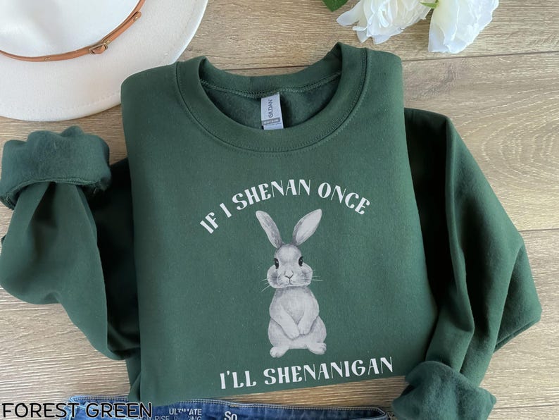 If I Shenan Once I'll Shenanigan St Patricks Day Sweatshirt, Funny St ...