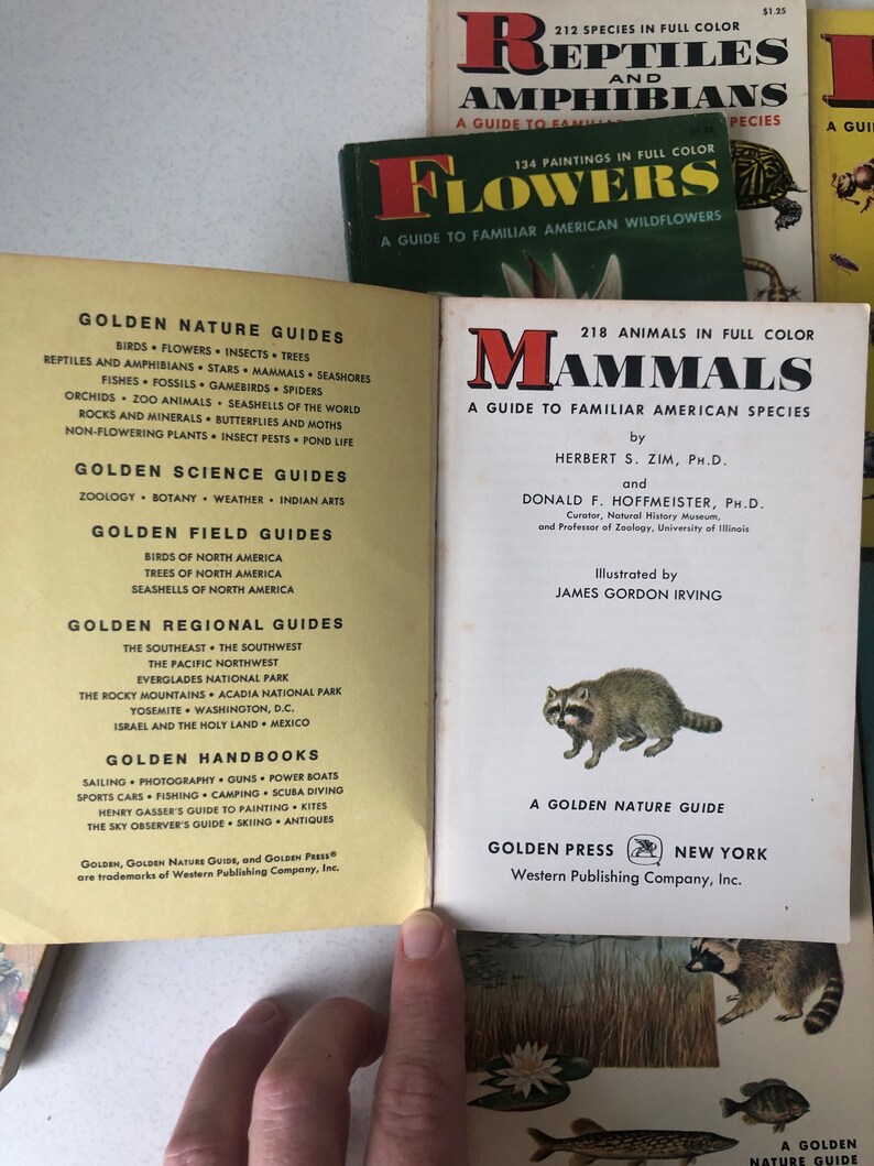 Choose Your Vintage Golden Nature Guide - Etsy