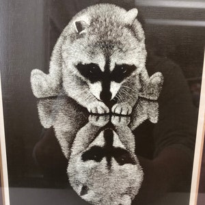 Vintage Framed Chaplan Lithograph of Raccoon Reflection - Etsy