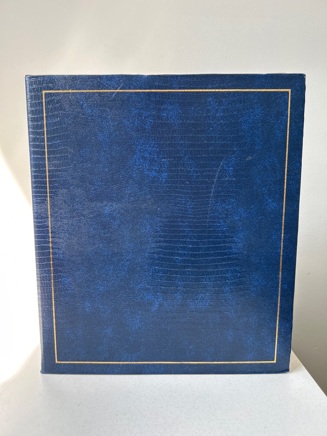 Vintage Blue Faux Snake Skin Photo Album - Etsy