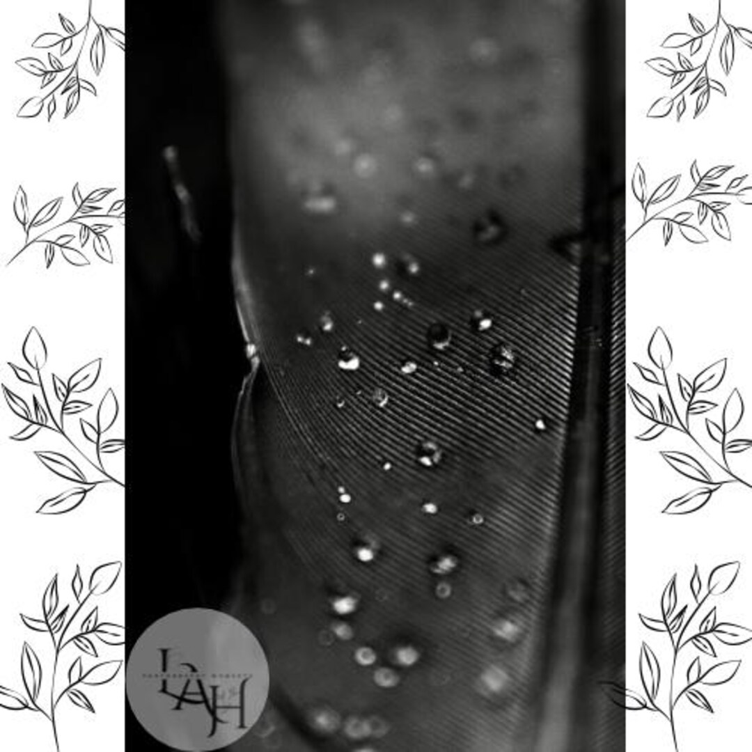 Feather Portrait Photo Wall Art - Etsy